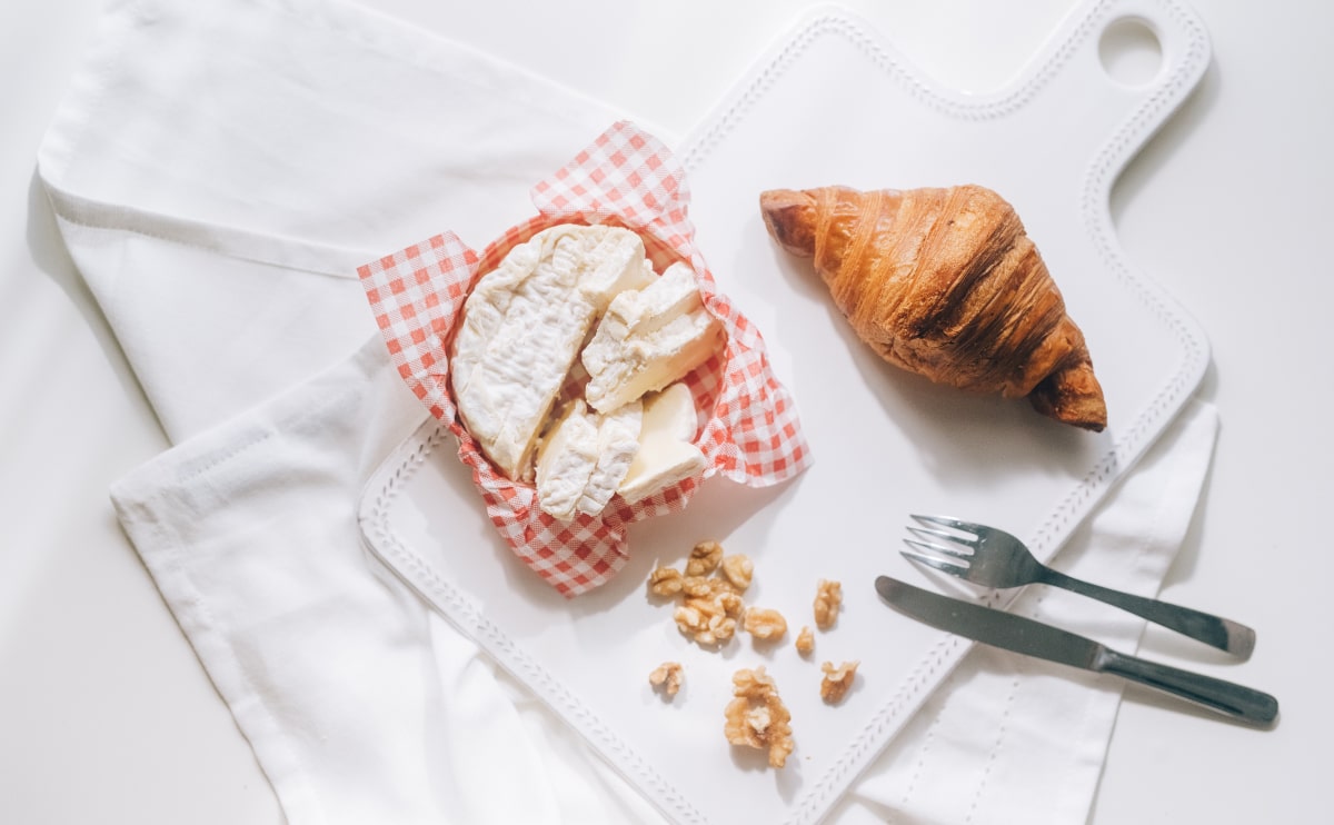 Bite Suit Gears – Train Hard & Stay Protected