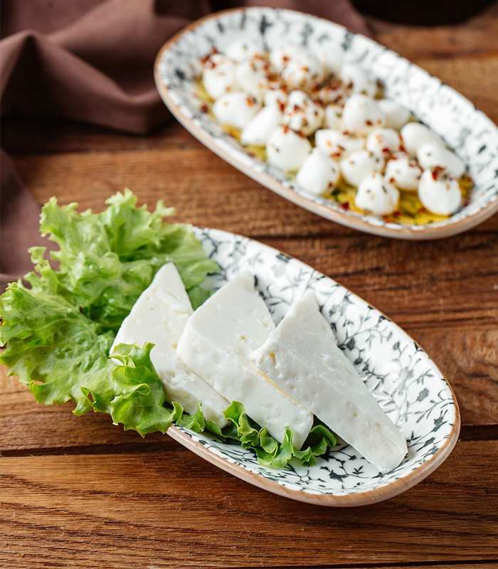 Bite Suit Gears – Train Hard & Stay Protected